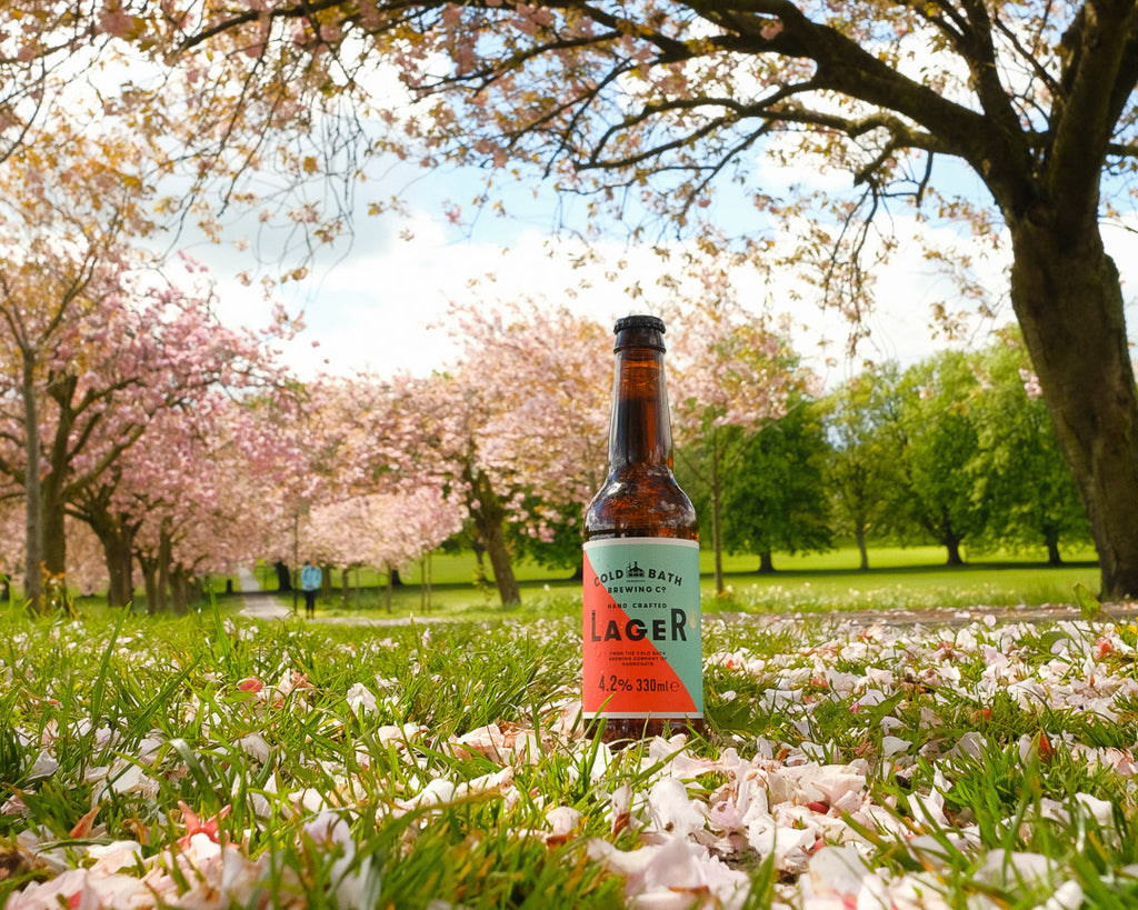 Cold Bath Brewing Co.